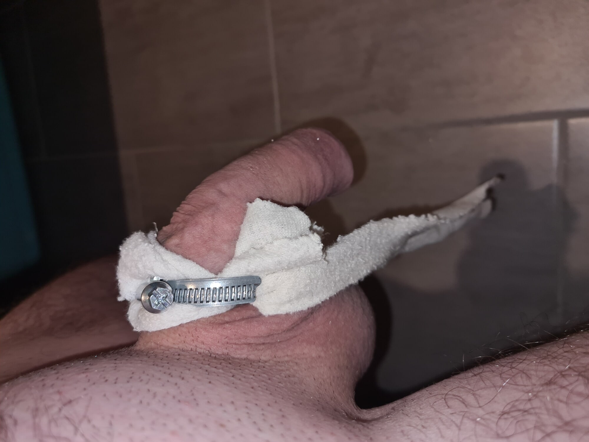 Penis Banding Session With Hoseclamp 15 Pics Xhamster