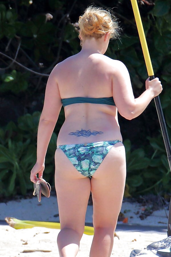 Amy Schumer Thick And Sexy 19 Pics Xhamster